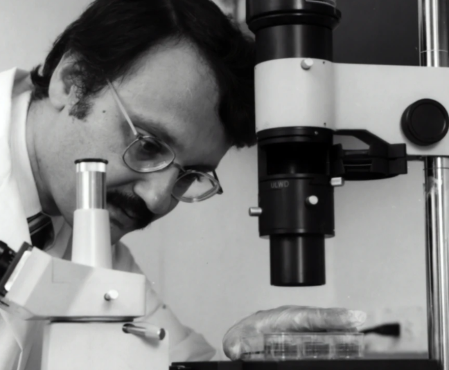 3 Top Biotech ETFs For Q2 - Stock Investor News